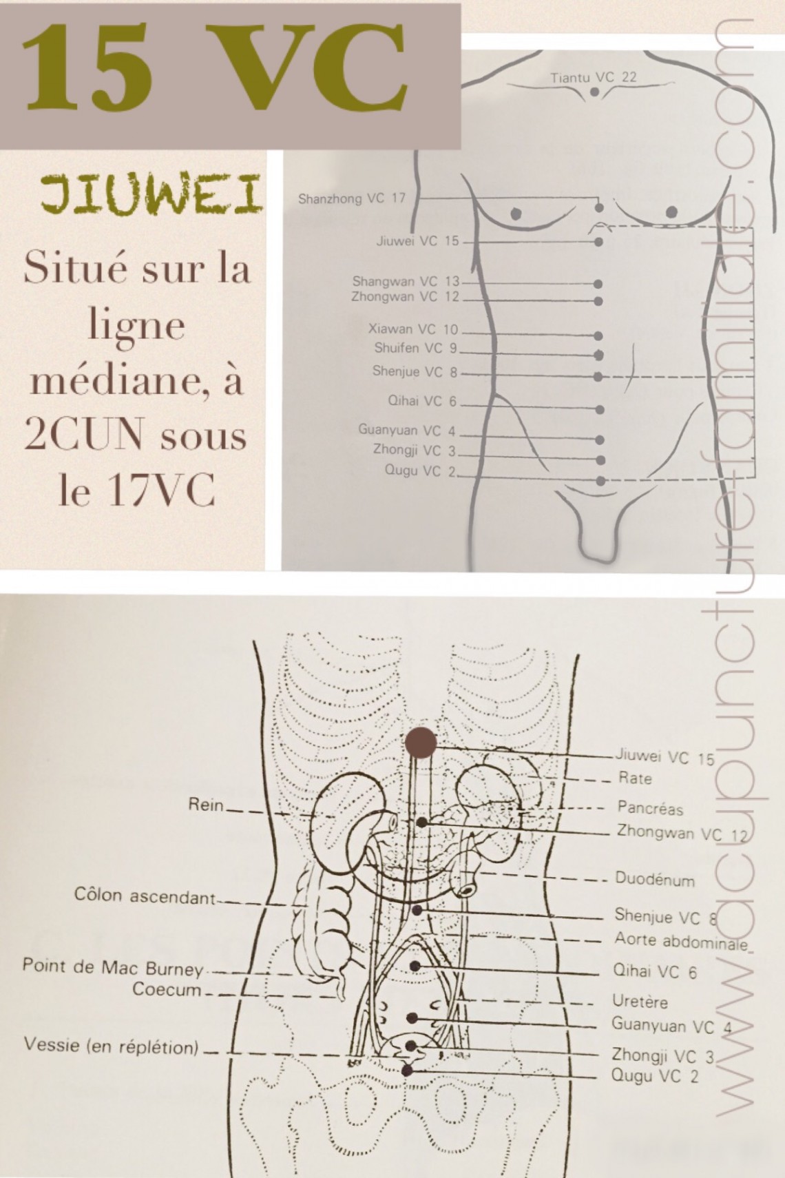Vaisseau de conception (Ren Mai) – Acupuncture Familiale
